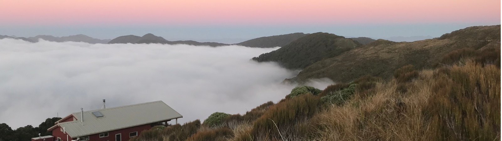 Paparoa Track | Great Walks of New Zealand