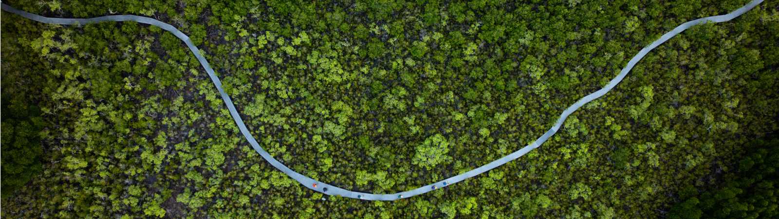 Ngaro Track Walk: Learn More About the Walking