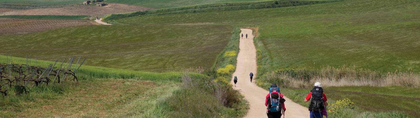 Long Distance Camino Tours | Full Camino Walks | UTracks