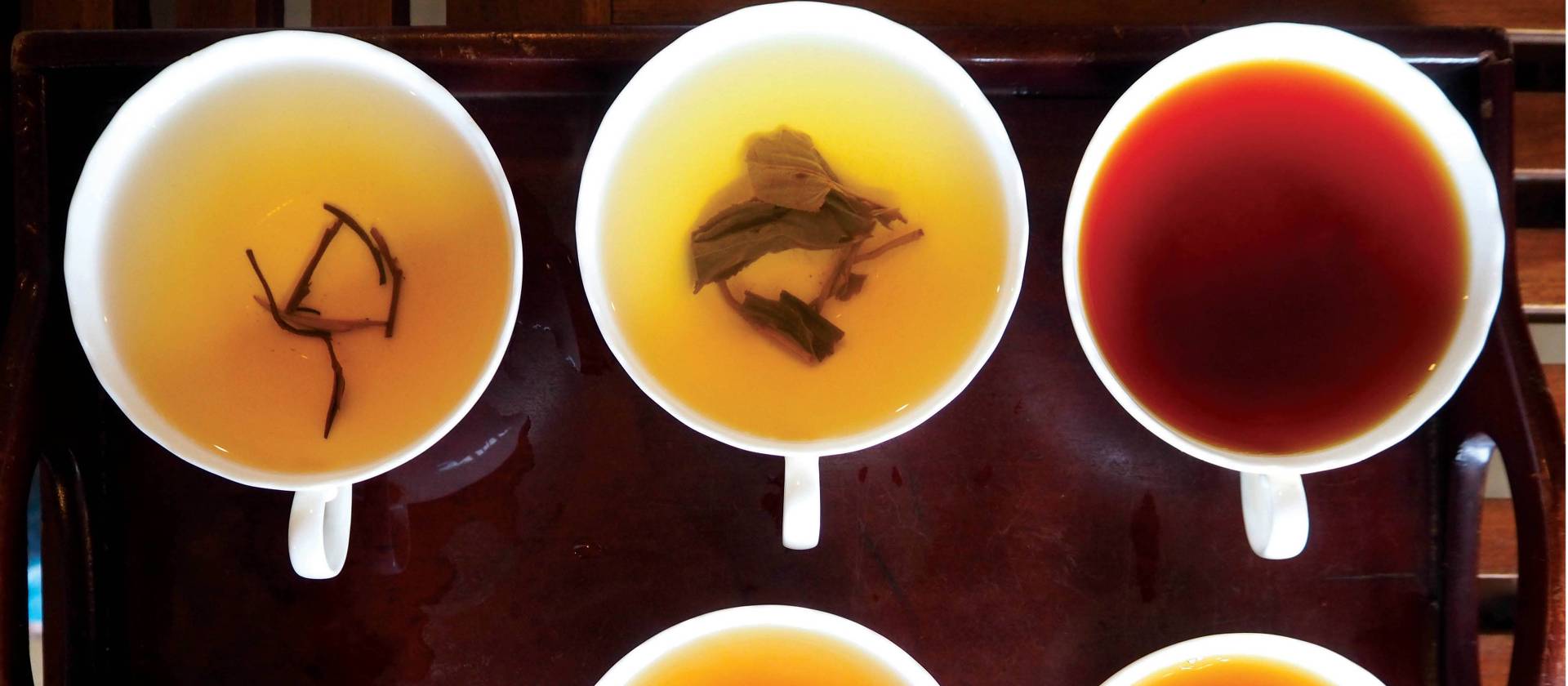 Sri Lanka Holiday | Adventure Tour | Best of Sri Lanka