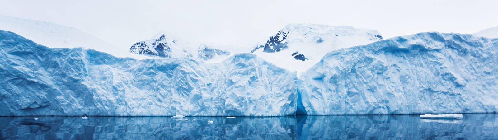 A Guide to Choosing Your Antarctica Cruise