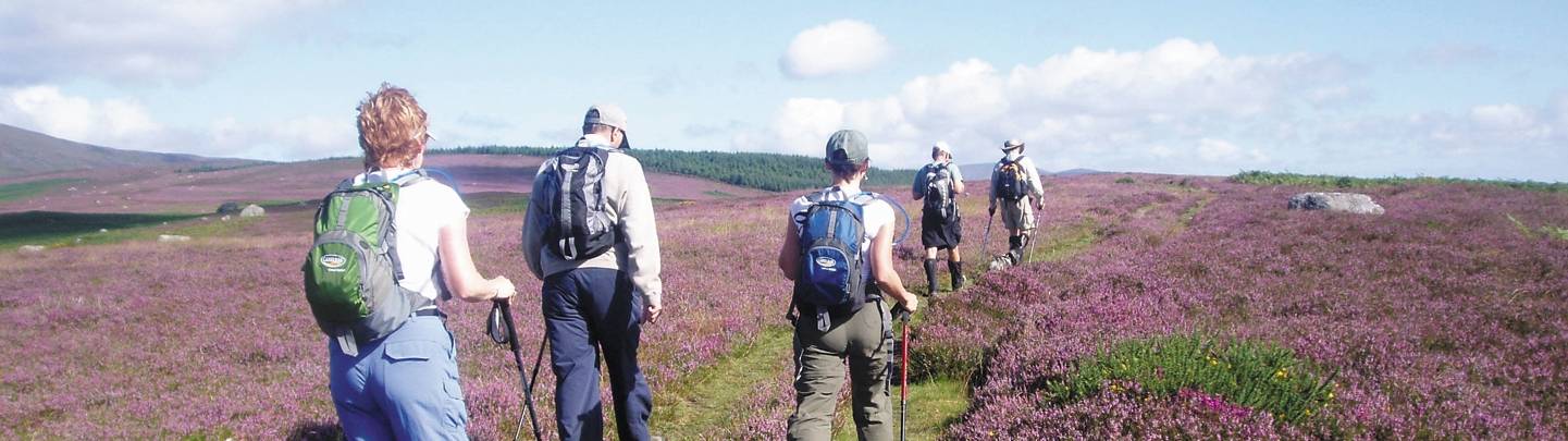 Short Break Walking Tours In Europe | UTracks