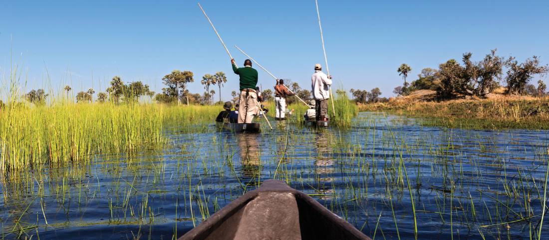 Botswana Walking Safari in Photos | World Expeditions