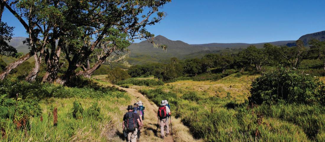 On the Couch with Rebecca Stephens: A special relationship with A