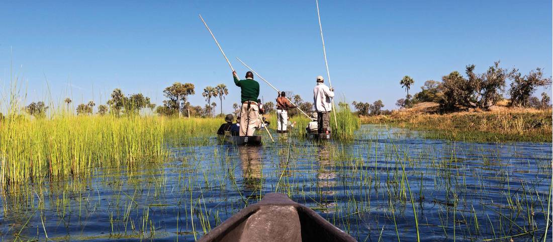 Botswana – The place to travel | World Expeditions