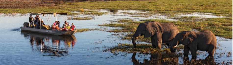 World Expeditions > Adventure News > Active Family Trips Over Easter