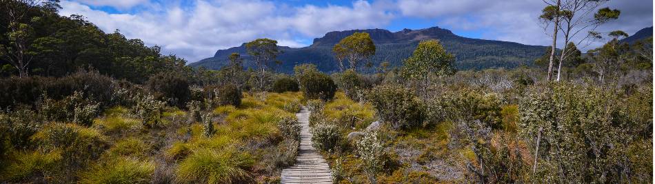 The Overland Track Styles